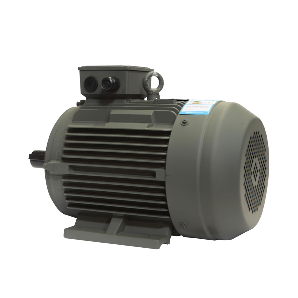 1000kw Chinese Universal Electrical Motor Price List of 3 Phase ...